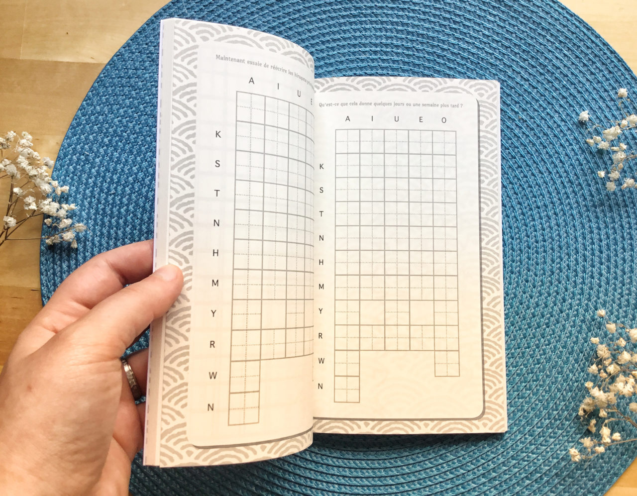 Kana Training : le cahier d’écriture japonaise spécial débutant ...